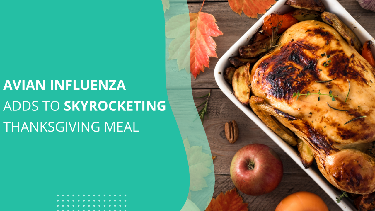 Avian Influenza Adds to Skyrocketing Thanksgiving Meal - JASE Medical