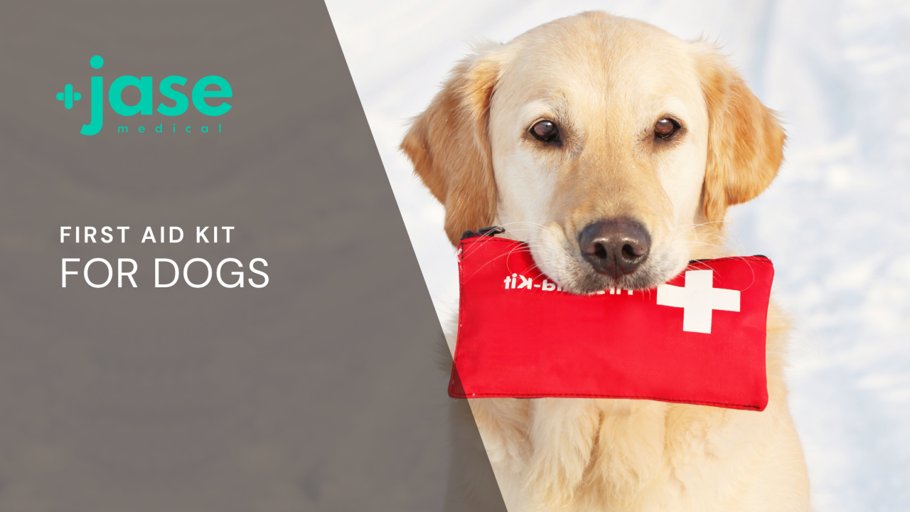 First Aid Kit for Dogs – Be Prepared! - JASE Medical