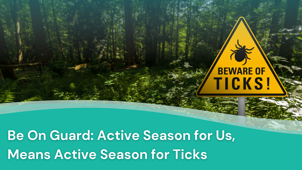 Stop Ticks in Their Tracks: Prevention, Removal, and Treatment - JASE ...