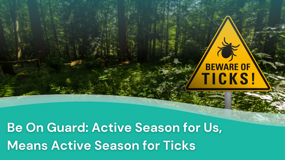 Stop Ticks in Their Tracks: Prevention, Removal, and Treatment - JASE ...